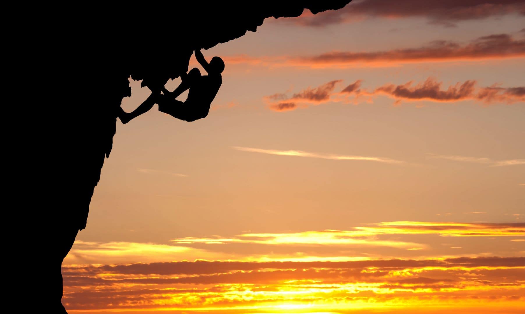 Alex Honnold's Epic Journey in Free Solo Documentary